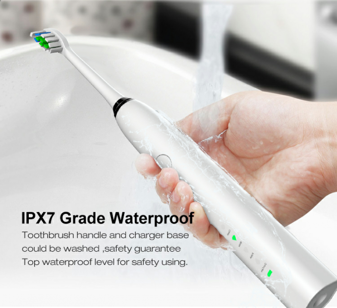 2000mAh Water Flosser Toothbrush IPX7 Waterproof Rechargeable For Home ...